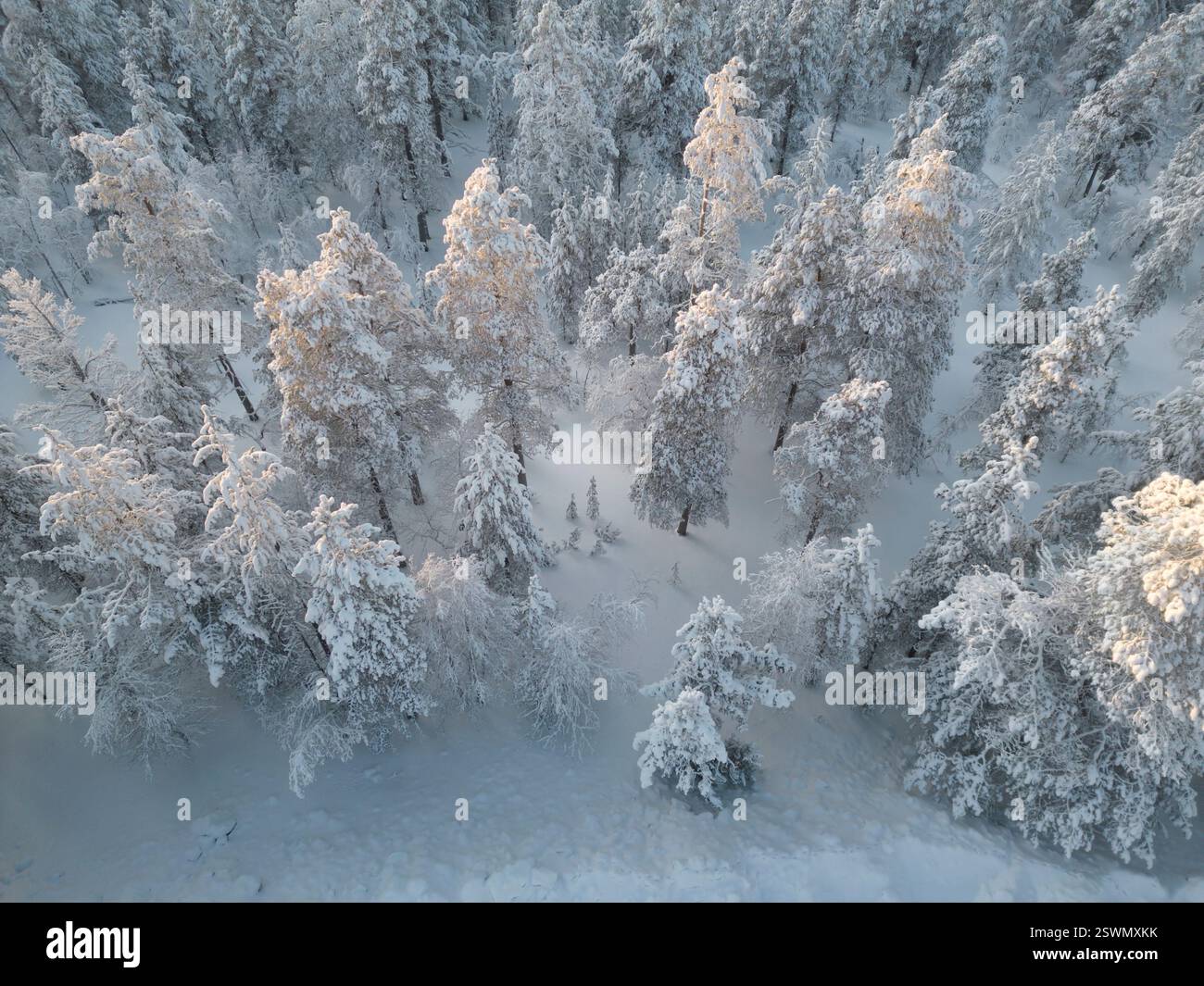 Aurora Borealis seen at lake Inari, Northern Finland Stock Photo - Alamy