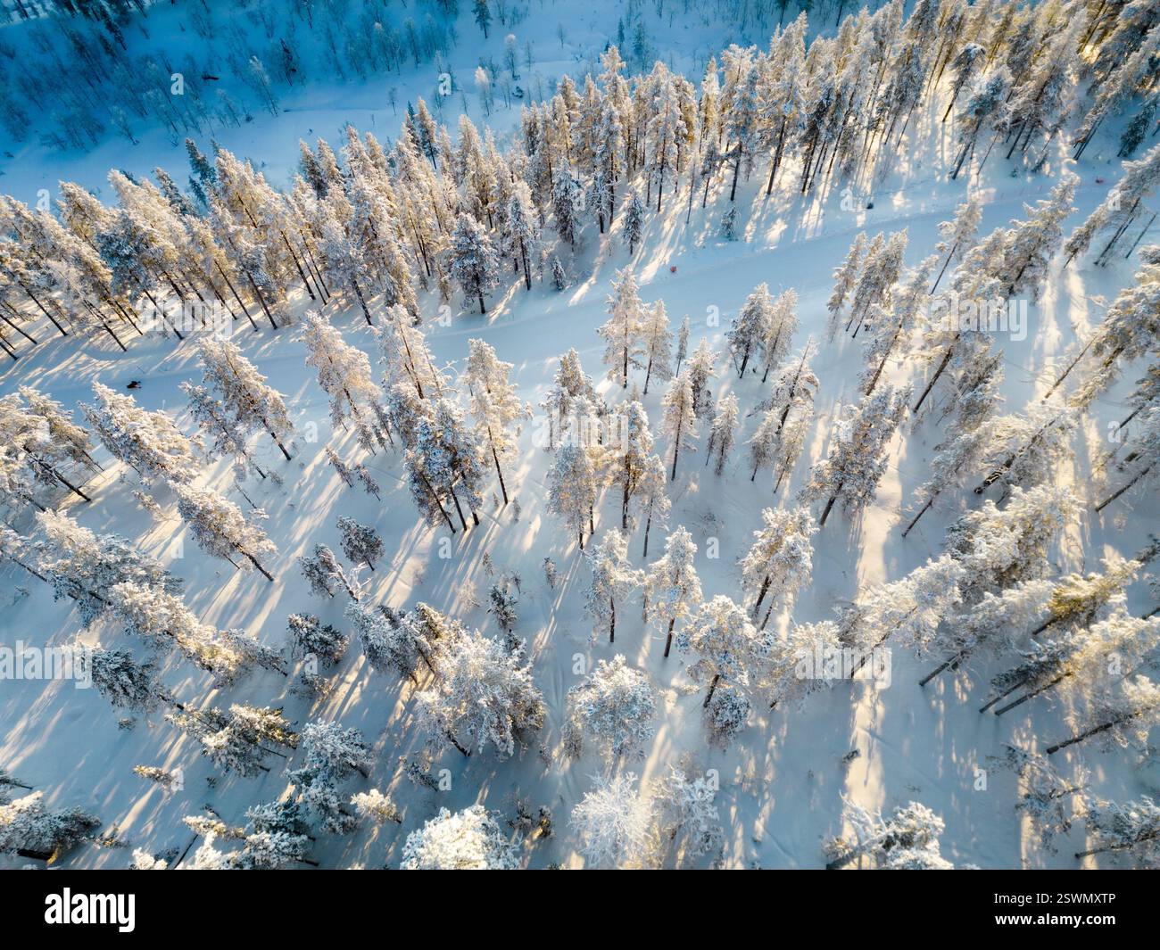 Aurora Borealis seen at lake Inari, Northern Finland Stock Photo - Alamy