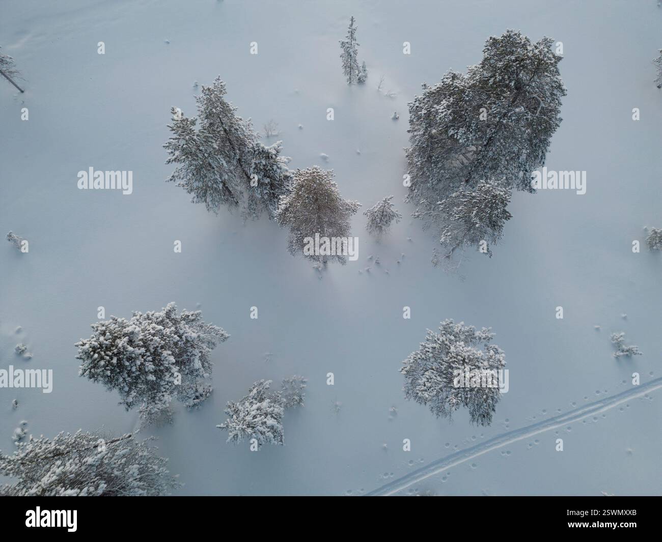 Aurora Borealis seen at lake Inari, Northern Finland Stock Photo - Alamy