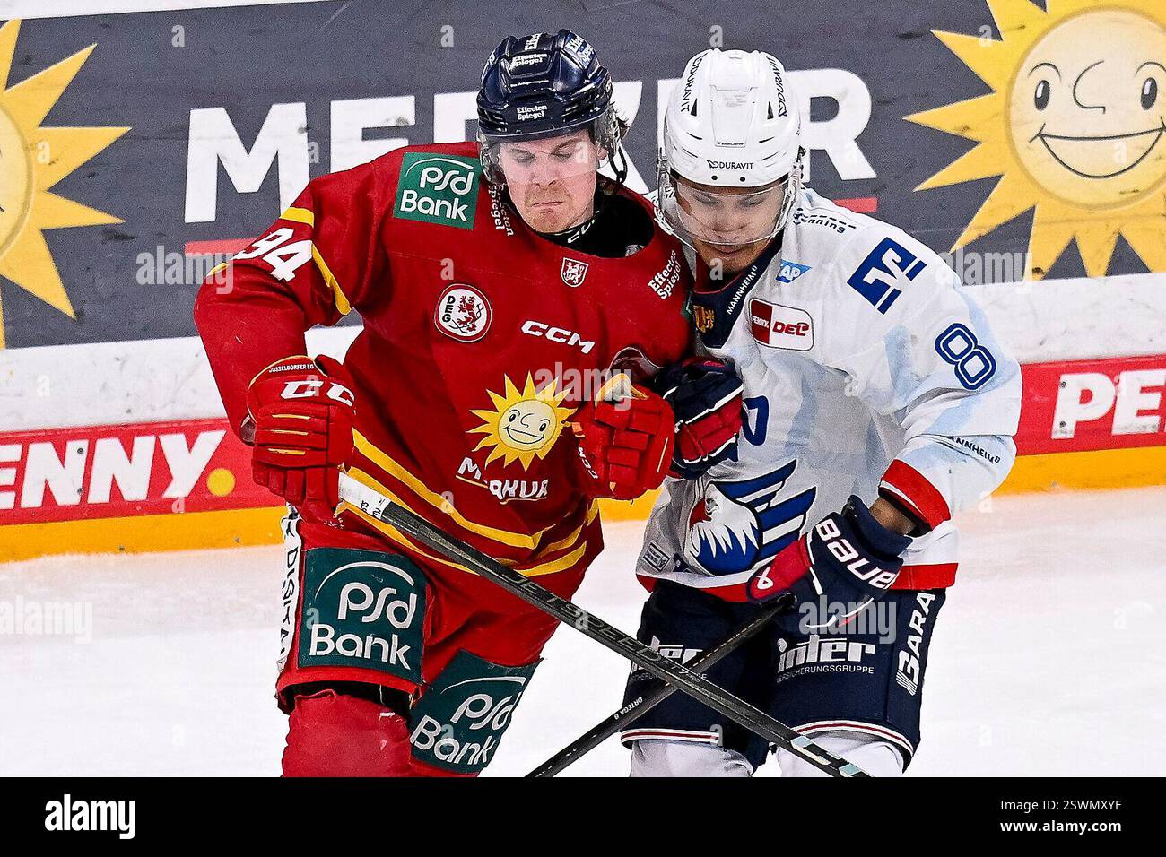 Eishockey DEL - 24/25 - 47. Spieltag: Düsseldorfer EG vs Adler Mannheim ...