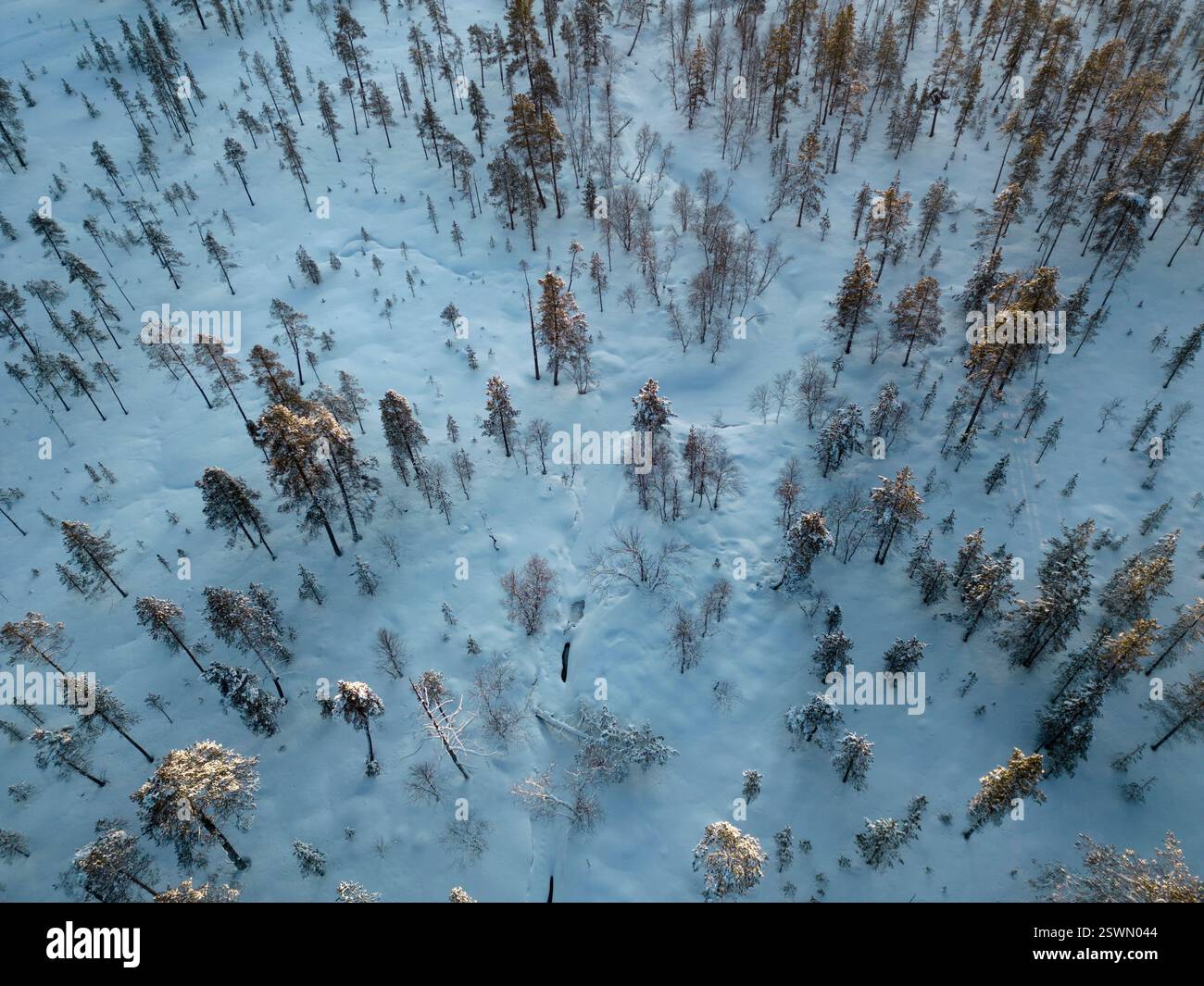 Aurora Borealis seen at lake Inari, Northern Finland Stock Photo - Alamy