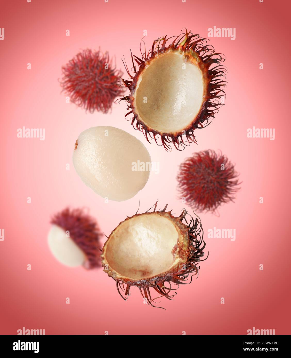 Fresh rambutan fruits in air on pink gradient background Stock Photo ...
