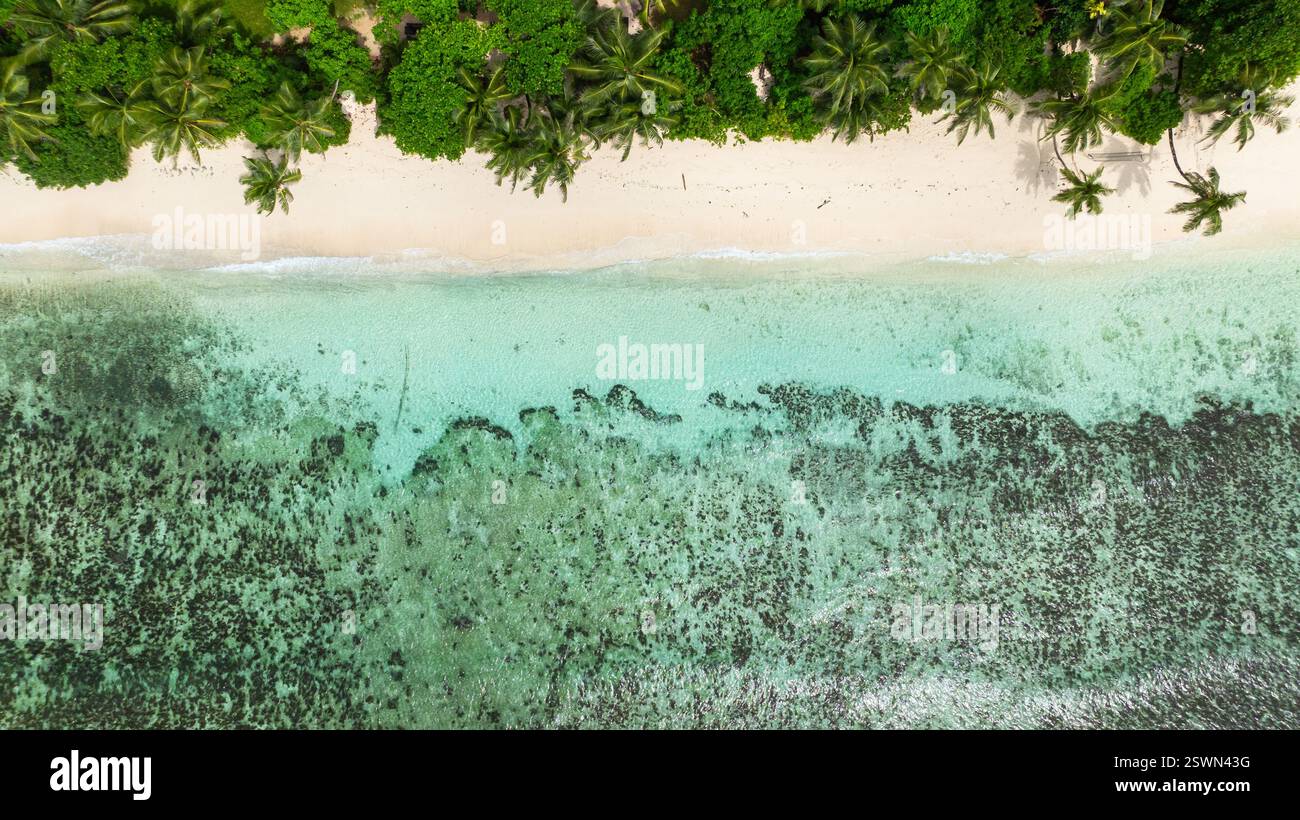 A stunning aerial view of a tropical coastline with crystal-clear ...