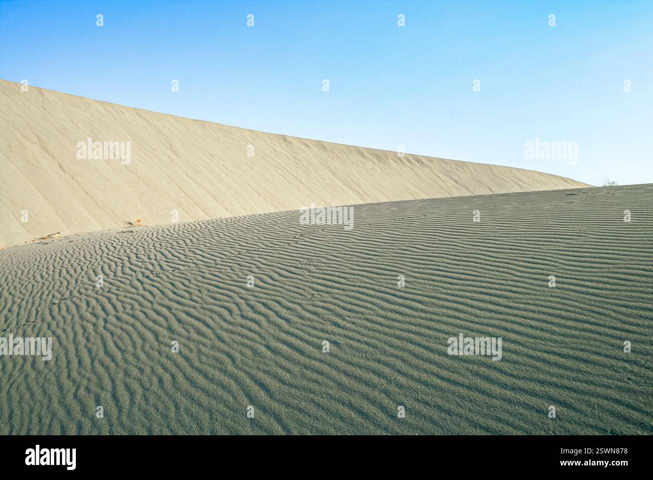 Desert landscape featuring large sand dunes with intricate patterns and ...