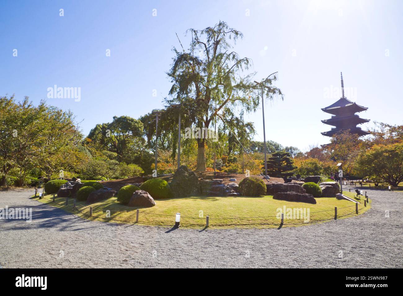 The wooden pagoda of Toji Temple with beautiful maple leaves, Kyoto ...