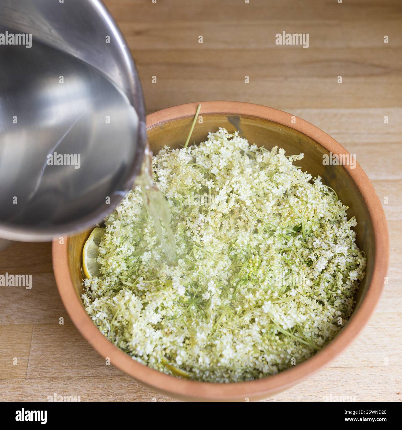 Preparation of elderflower syrup from the flowers of Sambucus nigra ...
