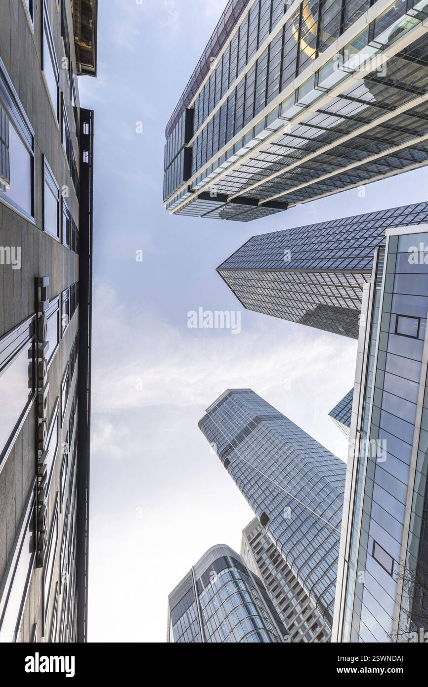 Look up in the morning in the middle of the skyline. Tower blocks and ...