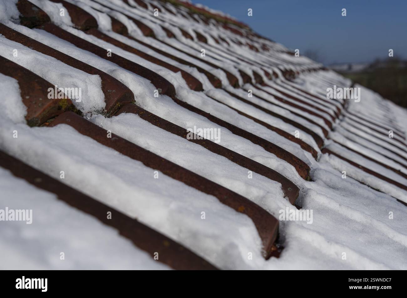 Snow-covered roof with tiles, house roof, plain tile, Schwaebisch Hall ...