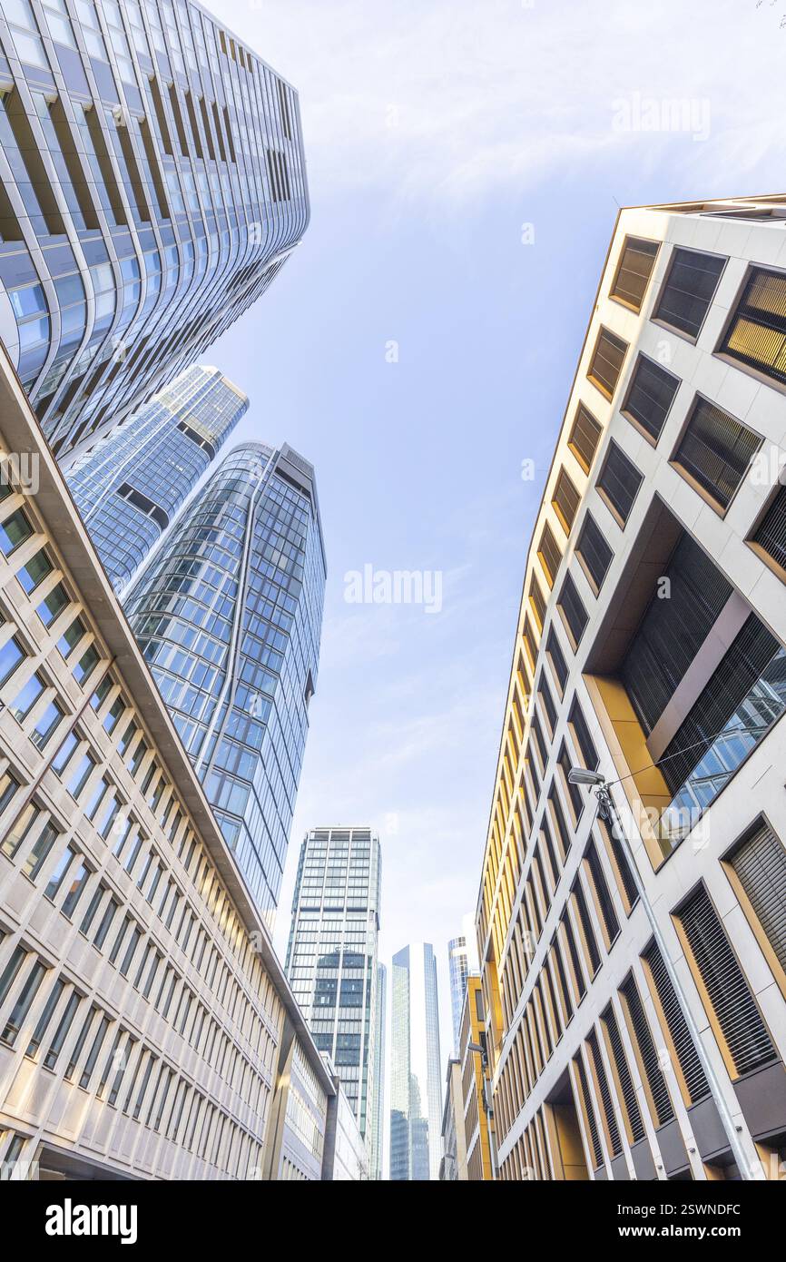 Look up in the morning in the middle of the skyline. Tower blocks and ...