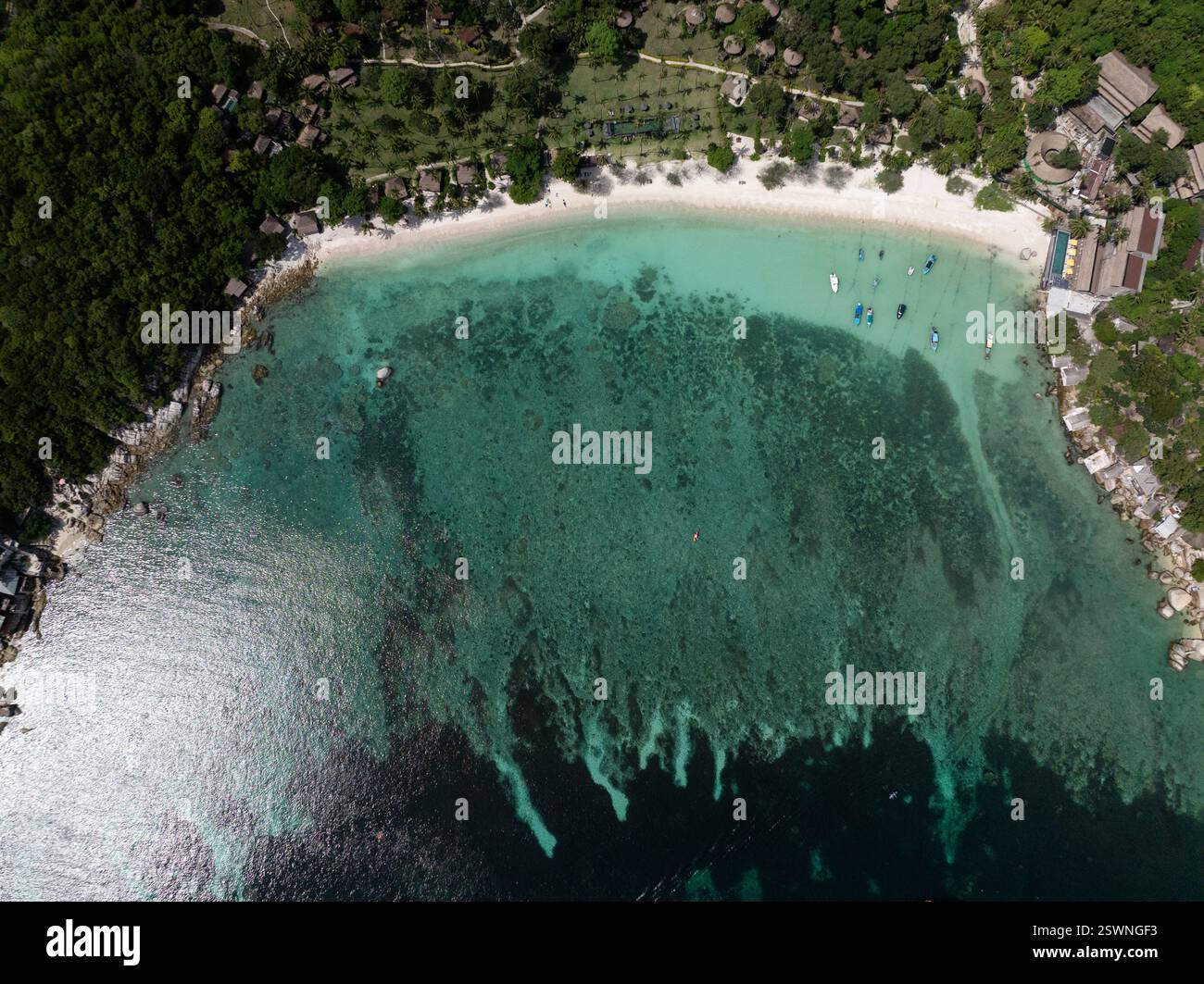 Aerial view showcasing a tropical beach lined with palm trees and ...