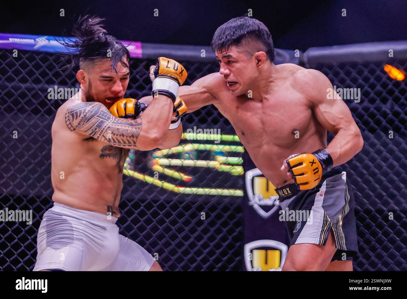 FEBRUARY 21ST, 2025, Monterrey, Nuevo León, Mexico; Saul «Pony» Tijerina vs Alberto «Lil Warrior ...