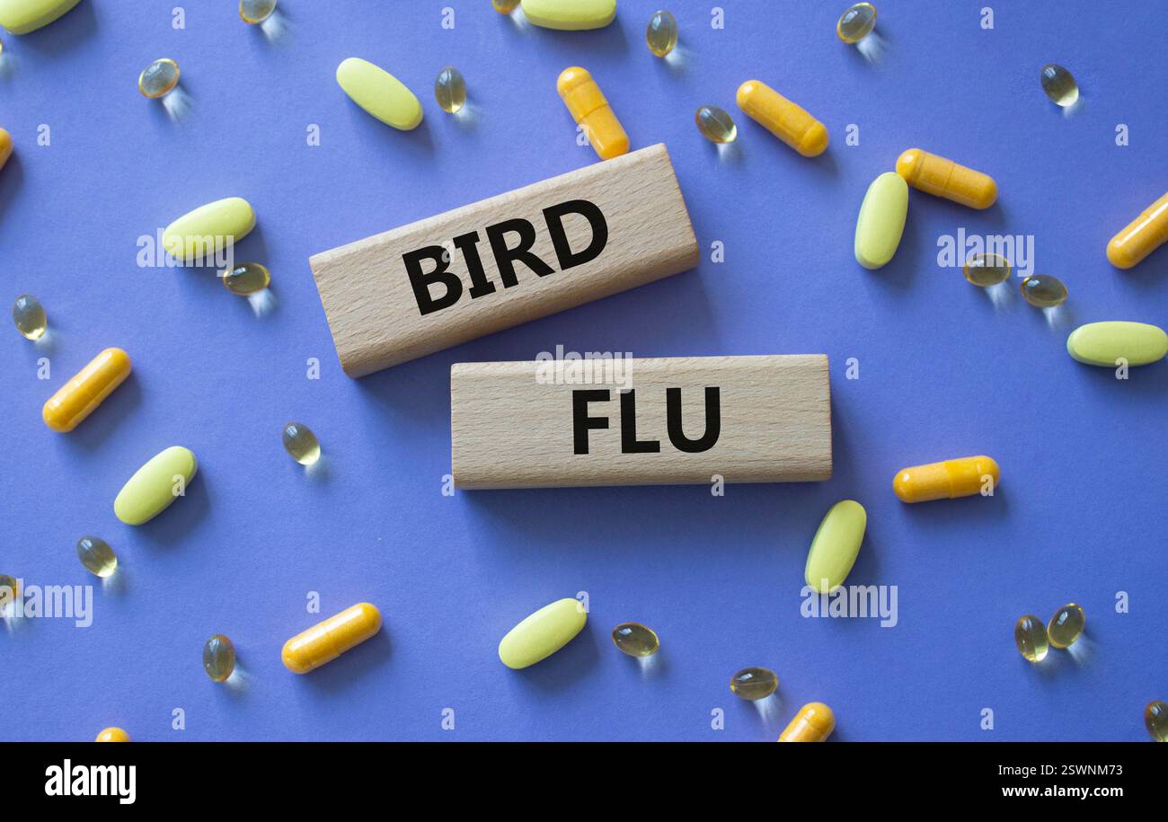 Bird Flu symbol. Concept word Bird Flu on wooden blocks. Beautiful ...