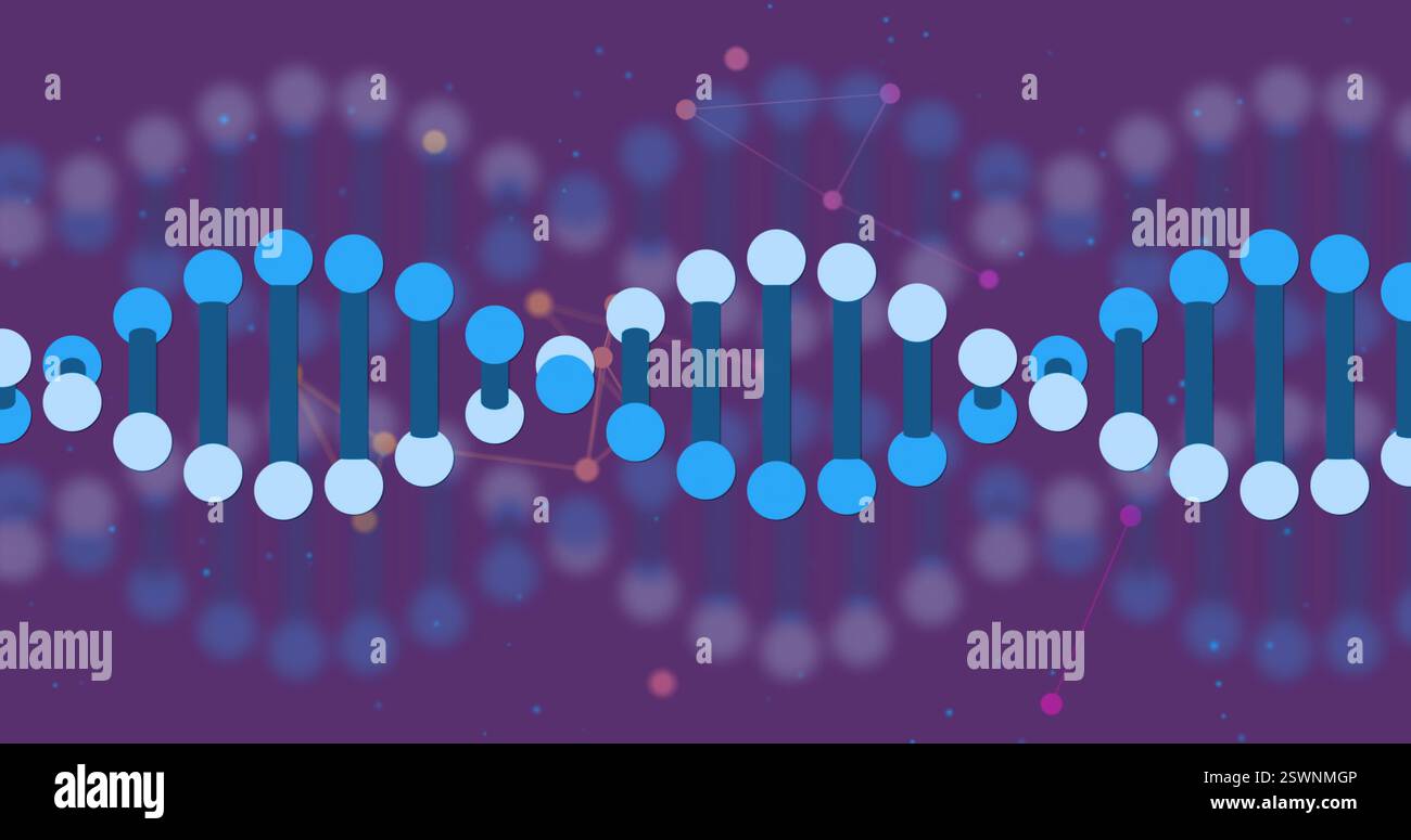 Image of dna strand over network of connections Stock Photo - Alamy