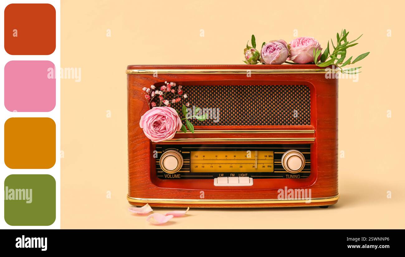 Retro radio with beautiful flowers on beige background. Different color ...