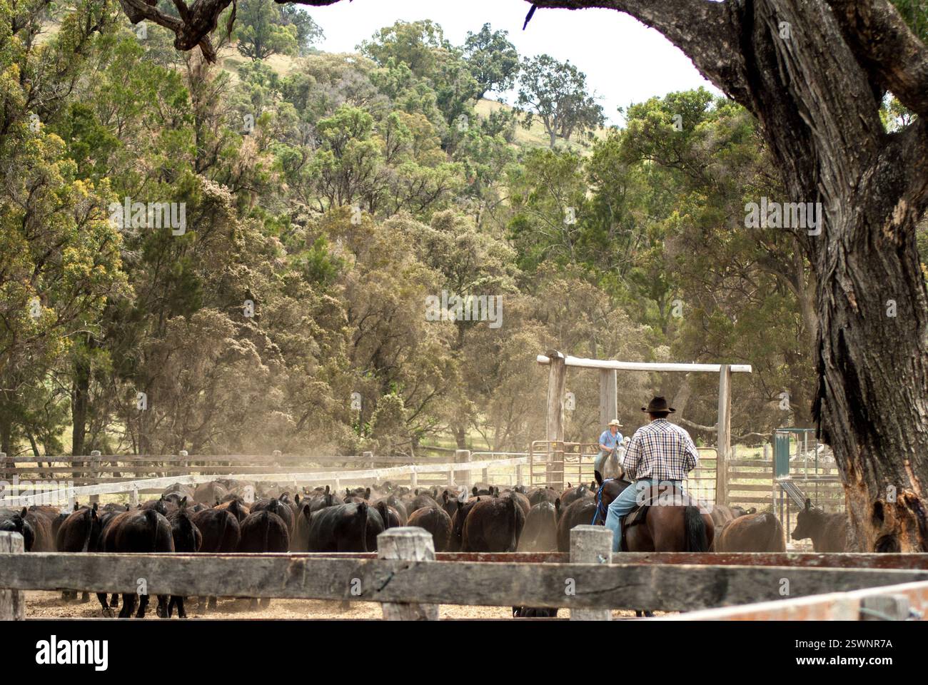 High country ride australia hi-res stock photography and images - Alamy