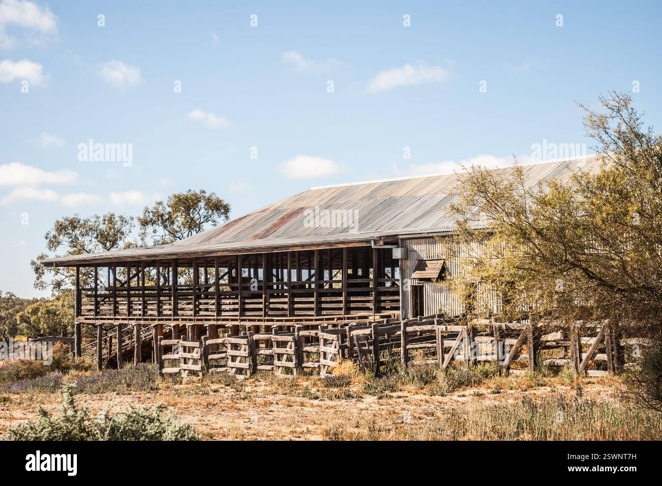 historic old shearing shed in Australia Stock Photo - Alamy