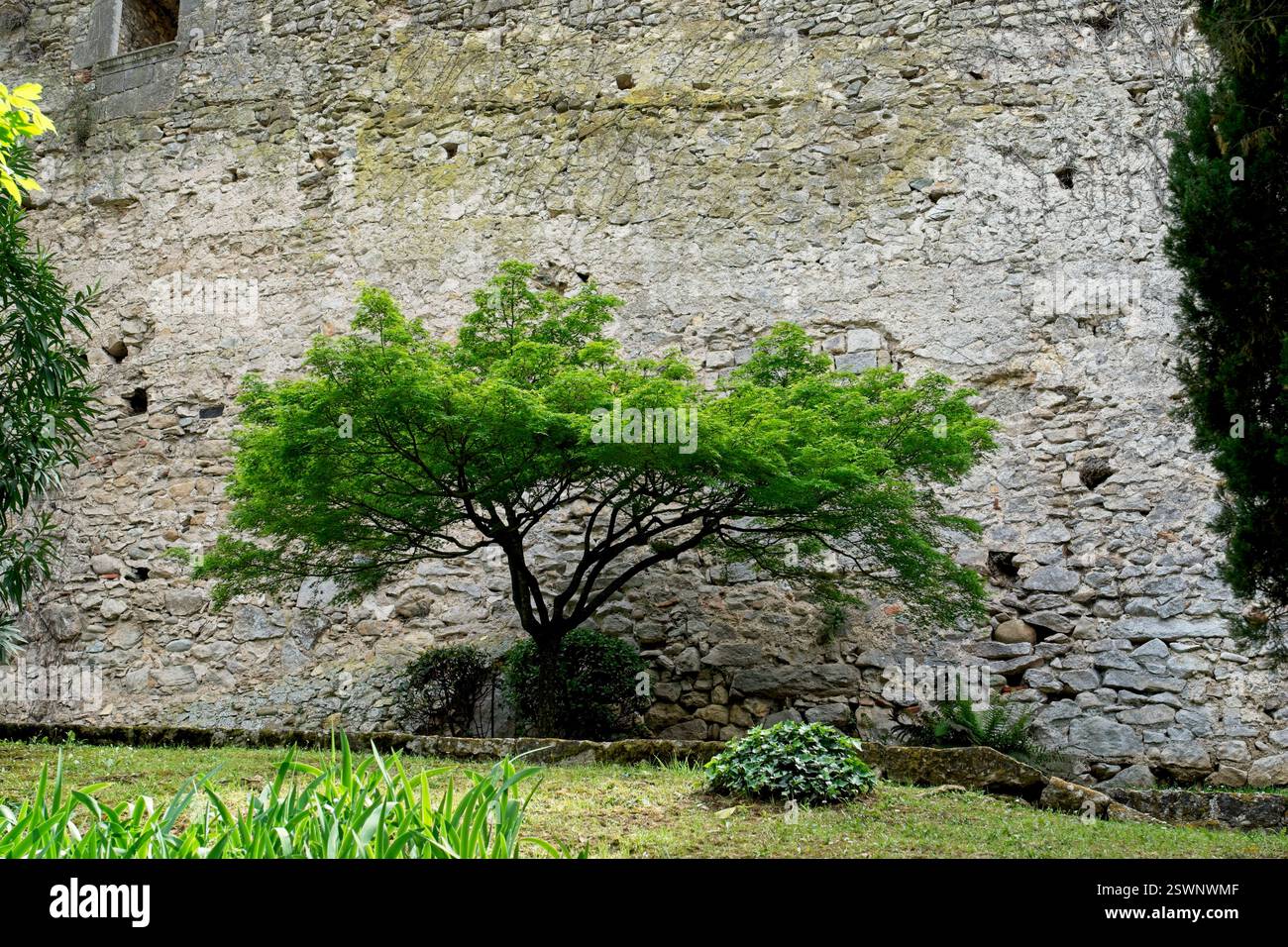Girona Spain - 25 April 2024 - Gardens behind the Catedral de Santa ...