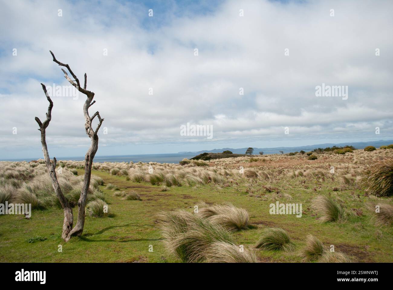 View across the bay from The Nut Stock Photo - Alamy