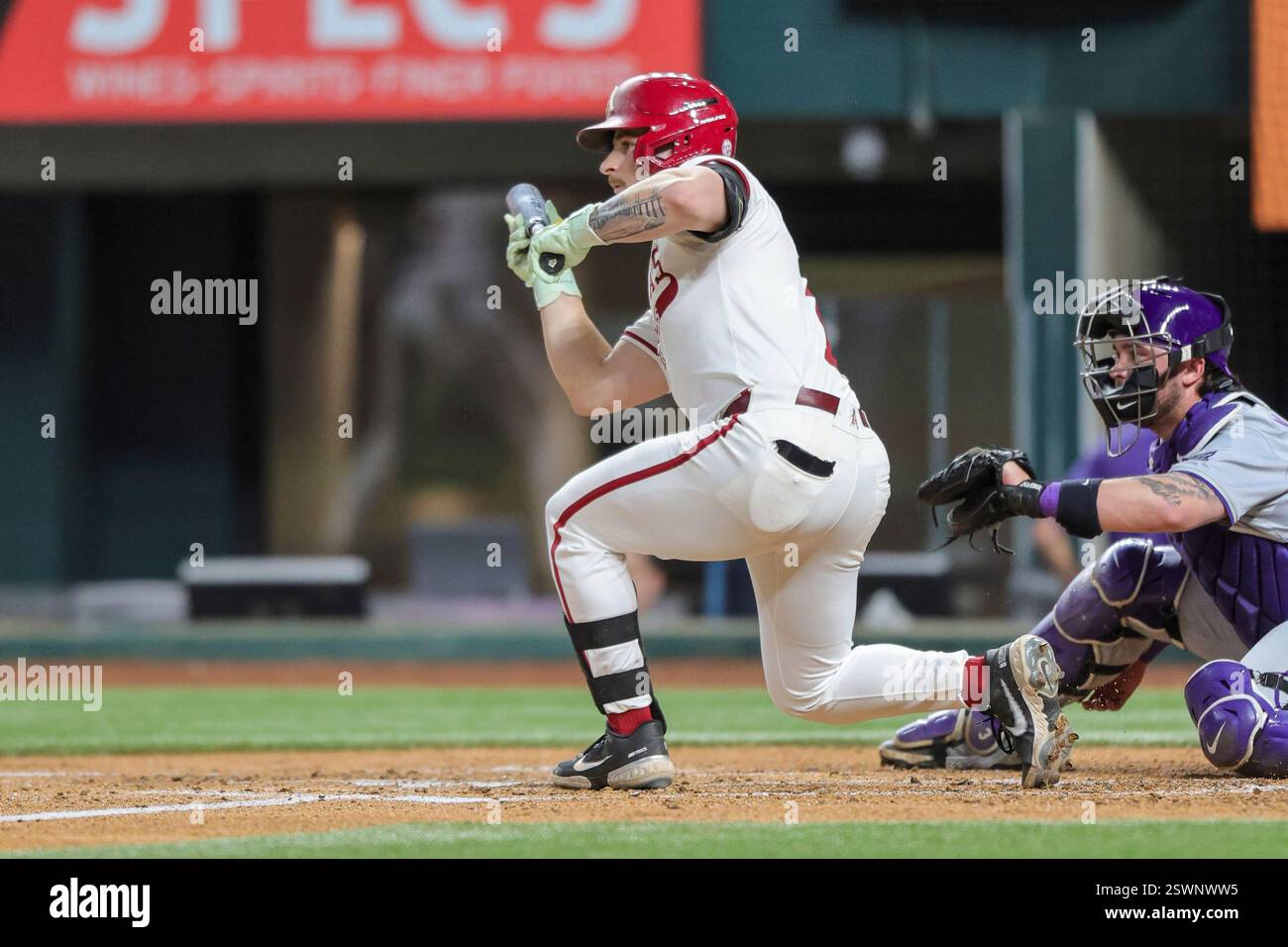 February 21, 2025: Arkansas infielder Rocco Peppi (1) squares around to ...