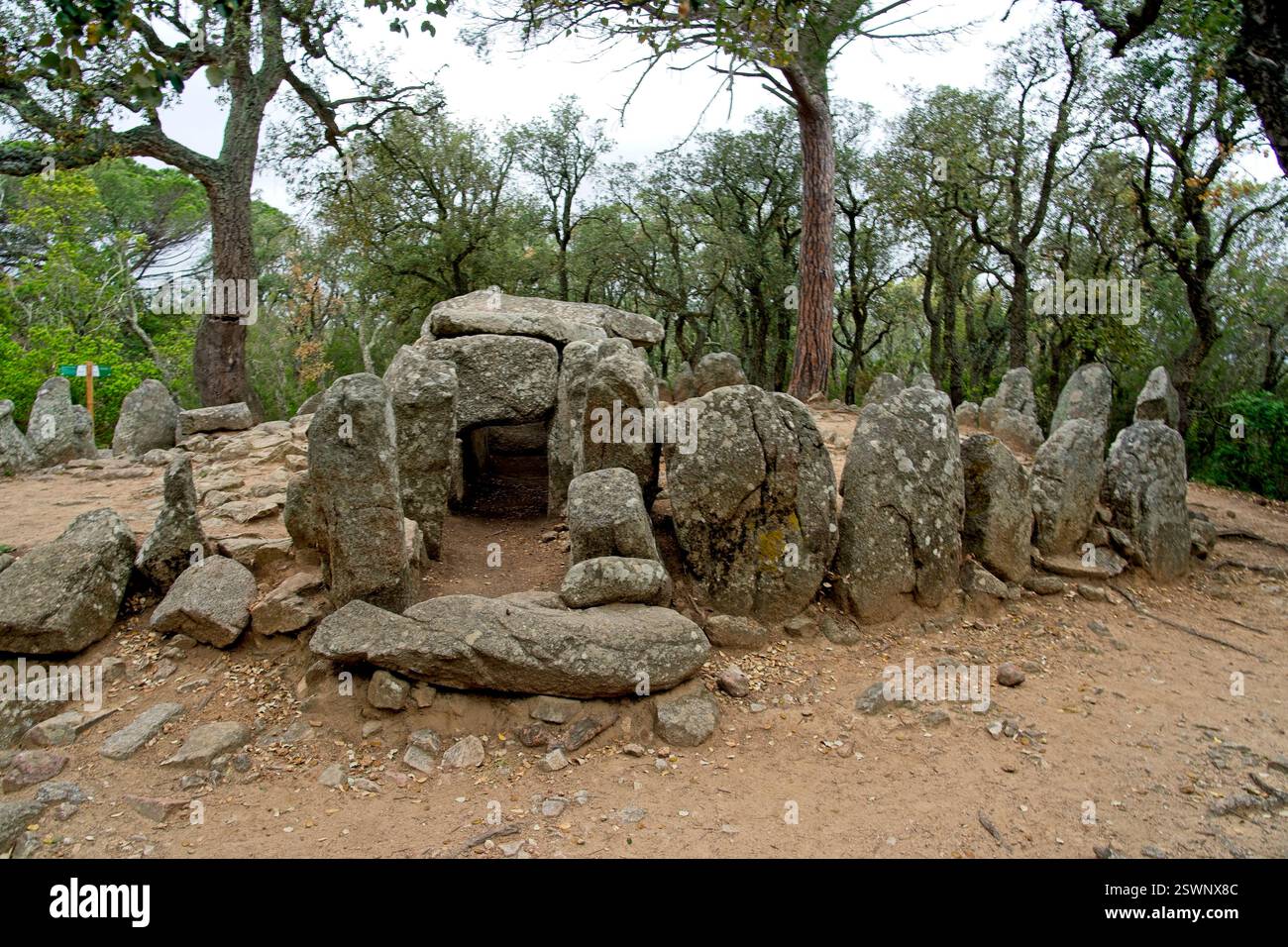 Romanyà de la Selva Spain - 27 April 2024 - Cova d'en Daina (Daina's ...
