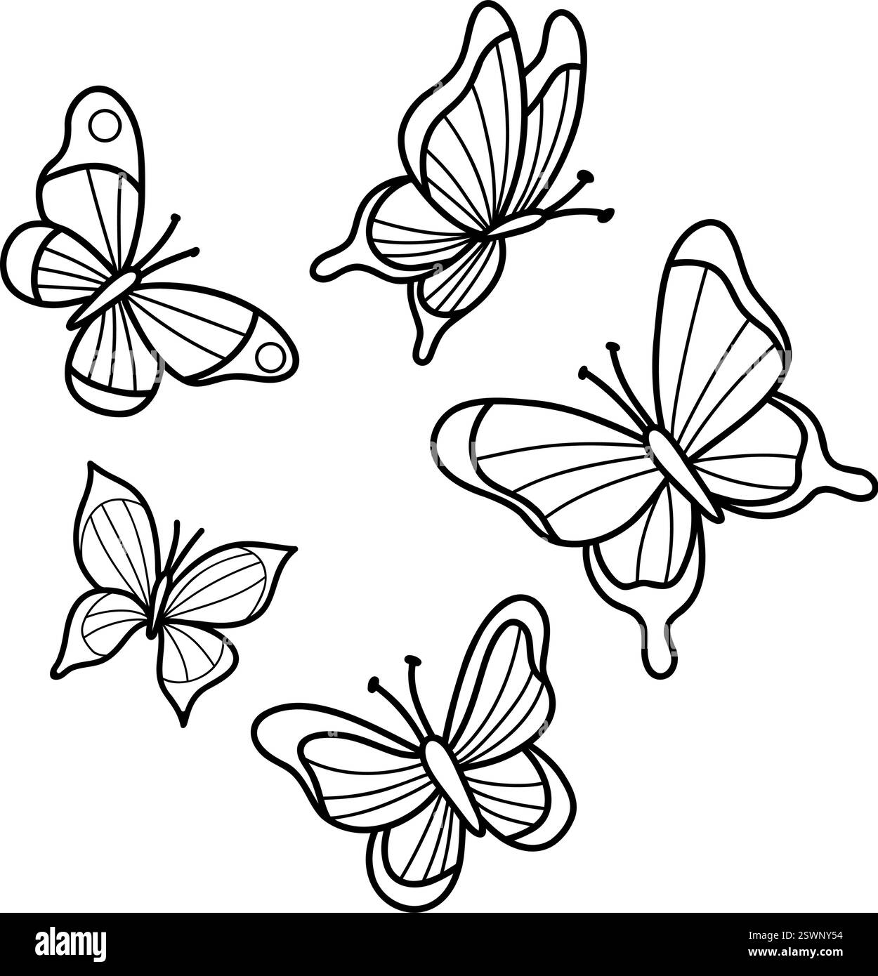 Coloration in insects Black and White Stock Photos & Images - Alamy