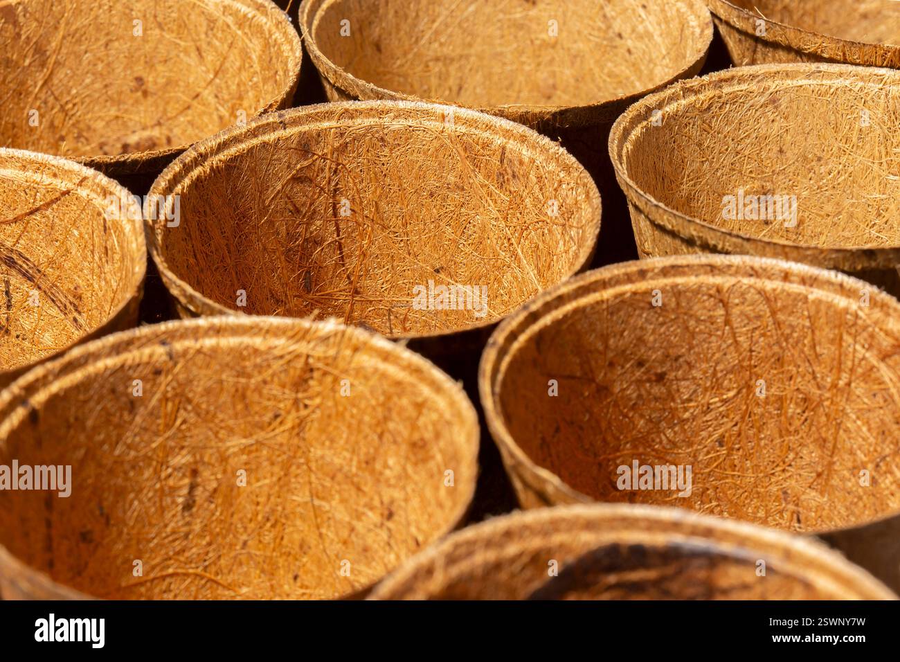 Empty plant in ground natural eco plant pots background backdrop ...