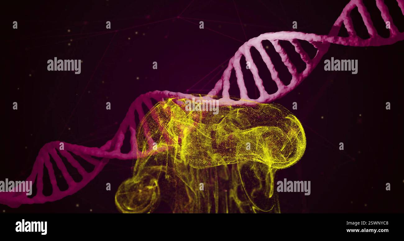 Image of yellow shapes moving over dna strand Stock Photo - Alamy
