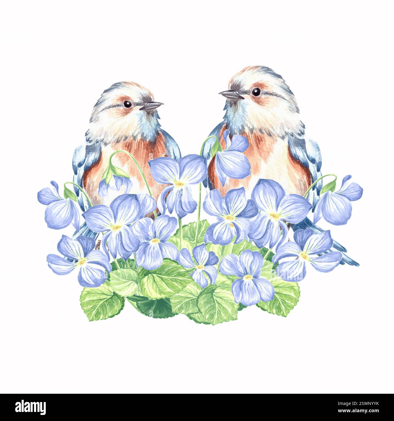 Small blue songbirds and violet flowers bouquet. Eastern bluebird with ...