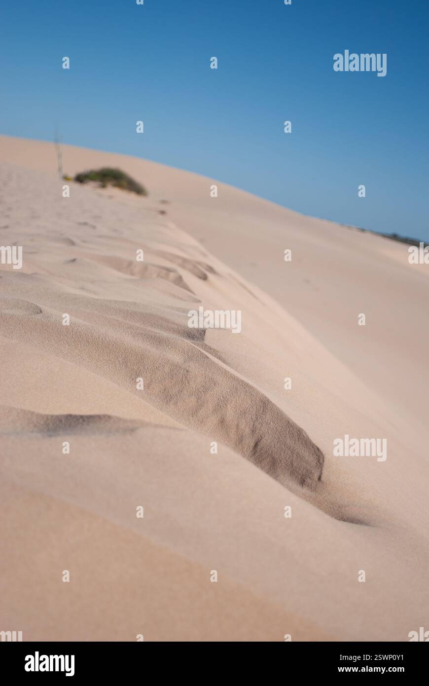 desert in outback Australia Stock Photo - Alamy
