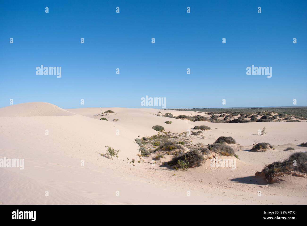 desert in outback Australia Stock Photo - Alamy
