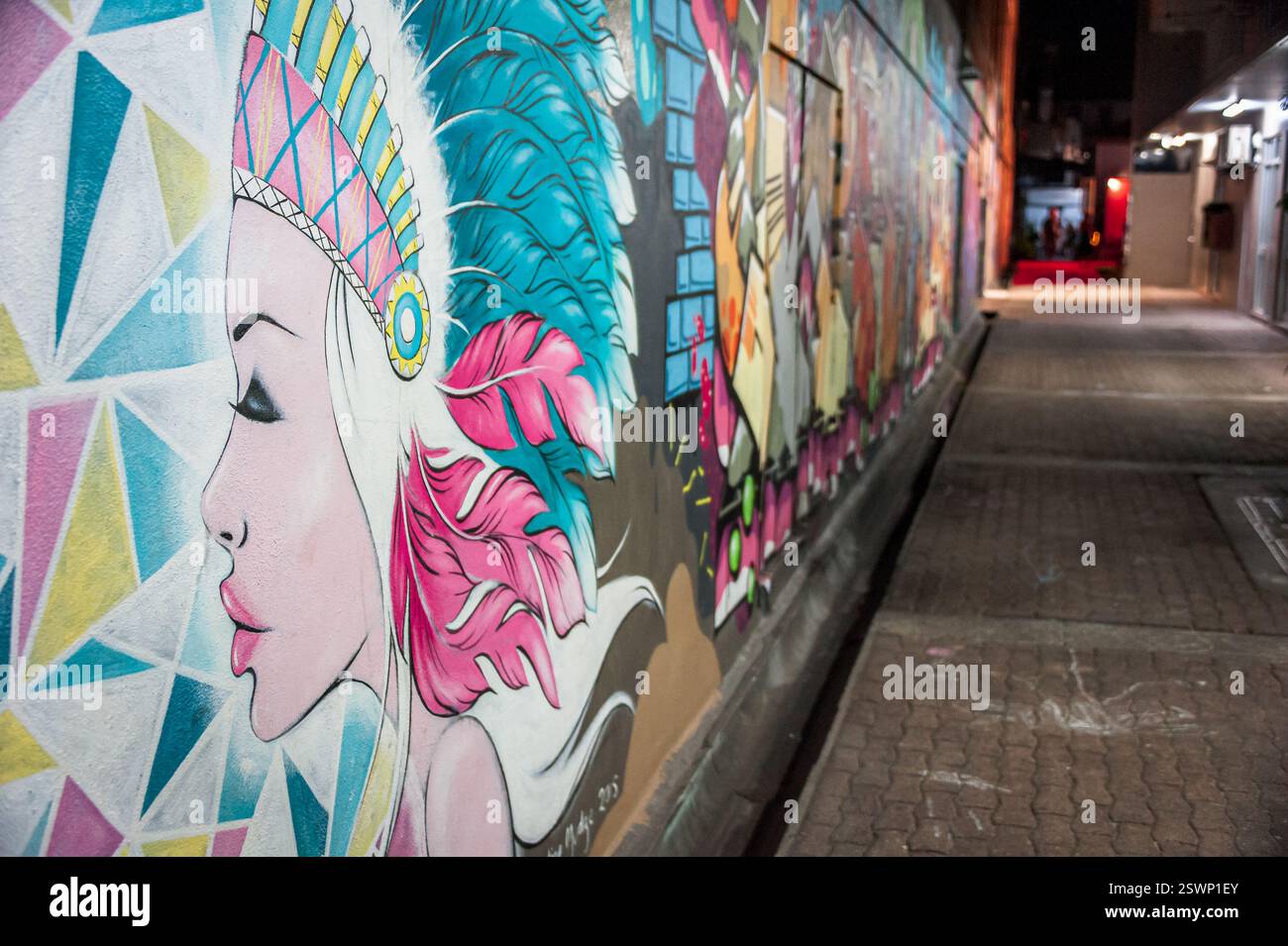 Grafton Street Lane is the one site among many to see colourful street ...