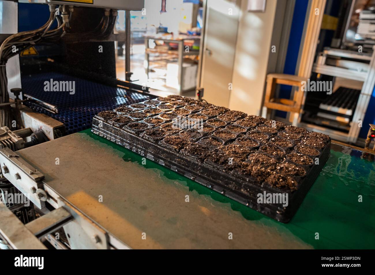 Peat mixture pallets leaving hydration chamber after warm mist. Soil ...