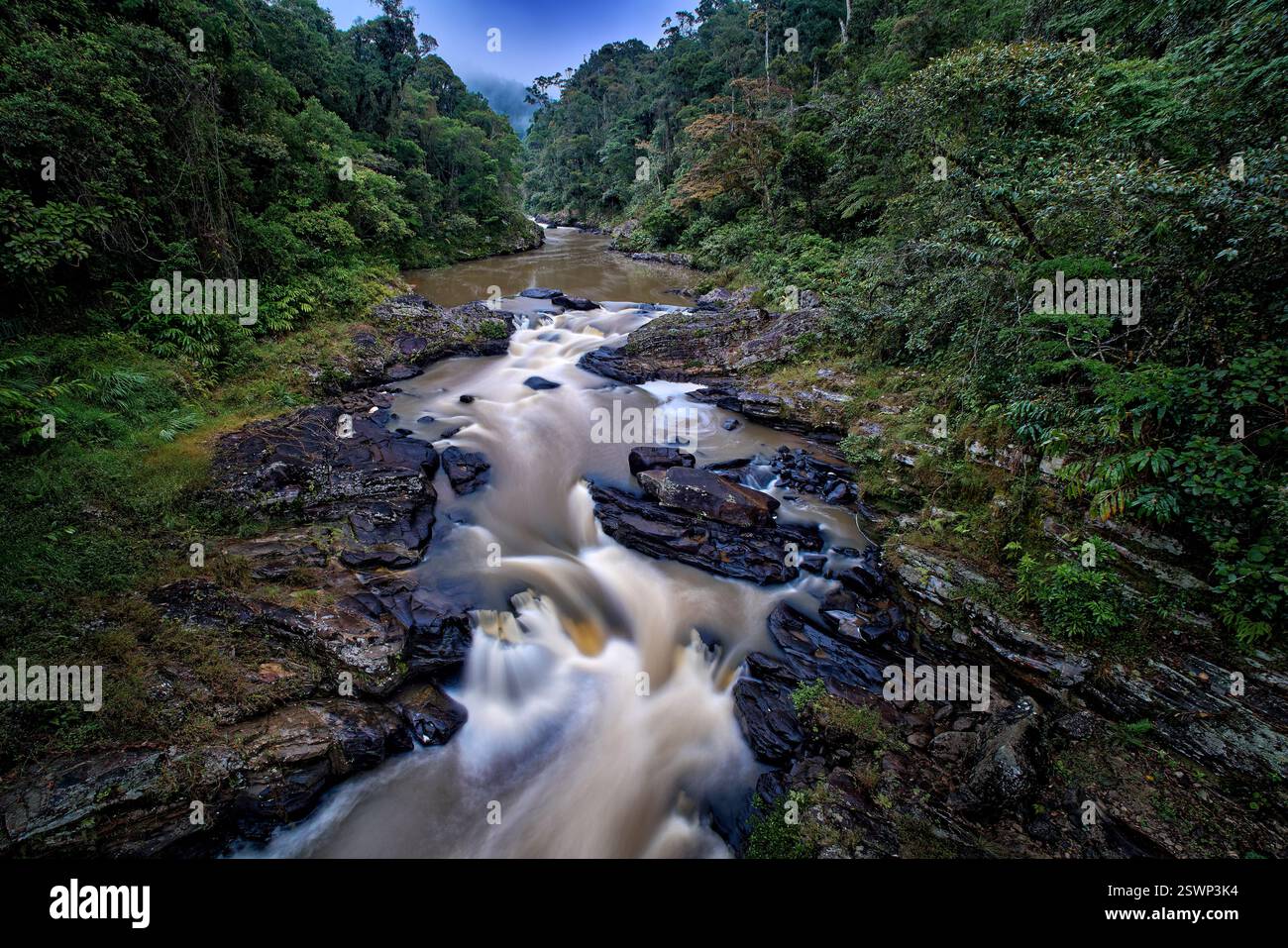 Trees above the river Namorana, Ranomafana NP, Madagascar. Madagascar ...