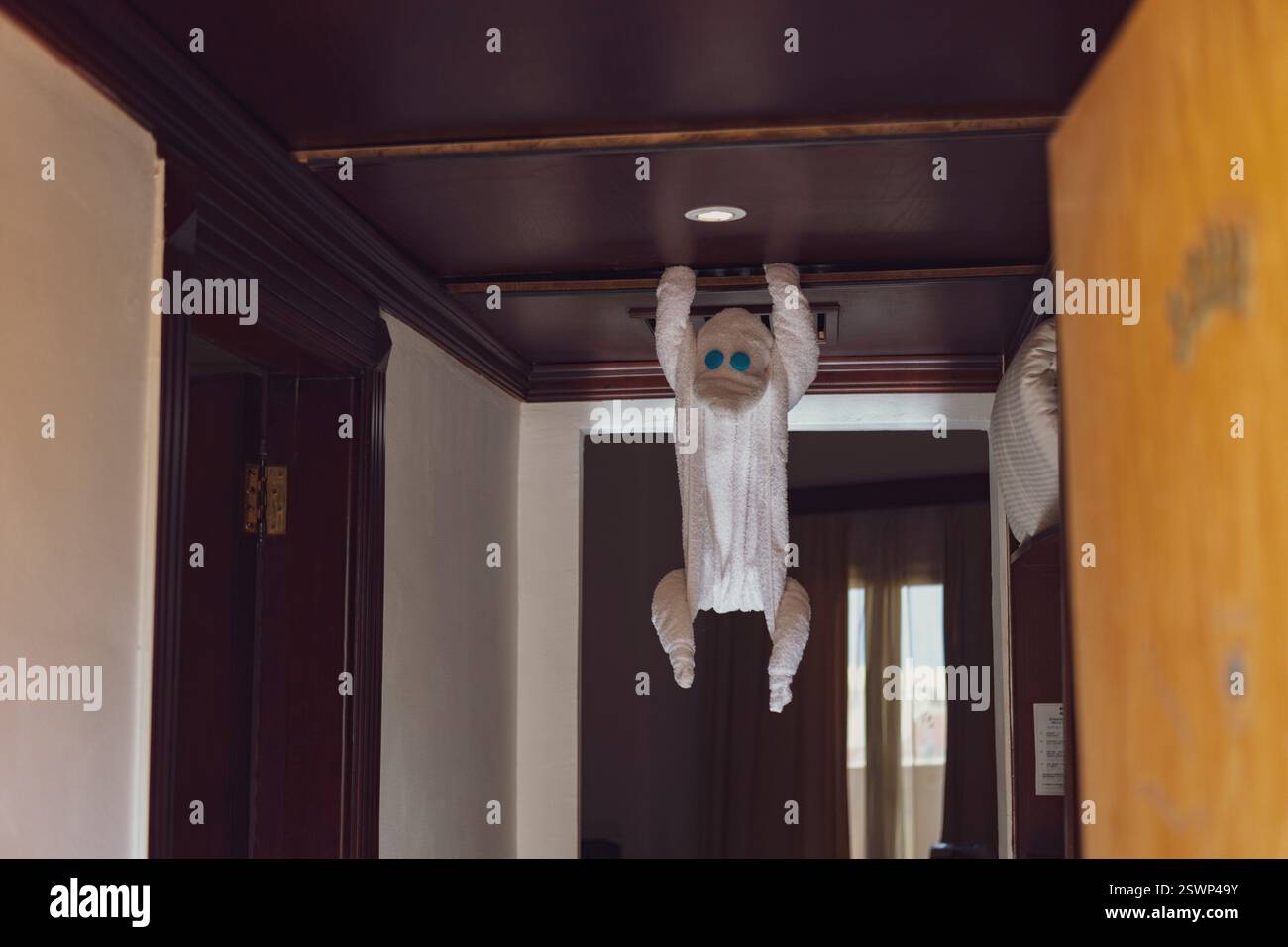 Playful towel art monkey hanging from the ceiling in a hotel room ...