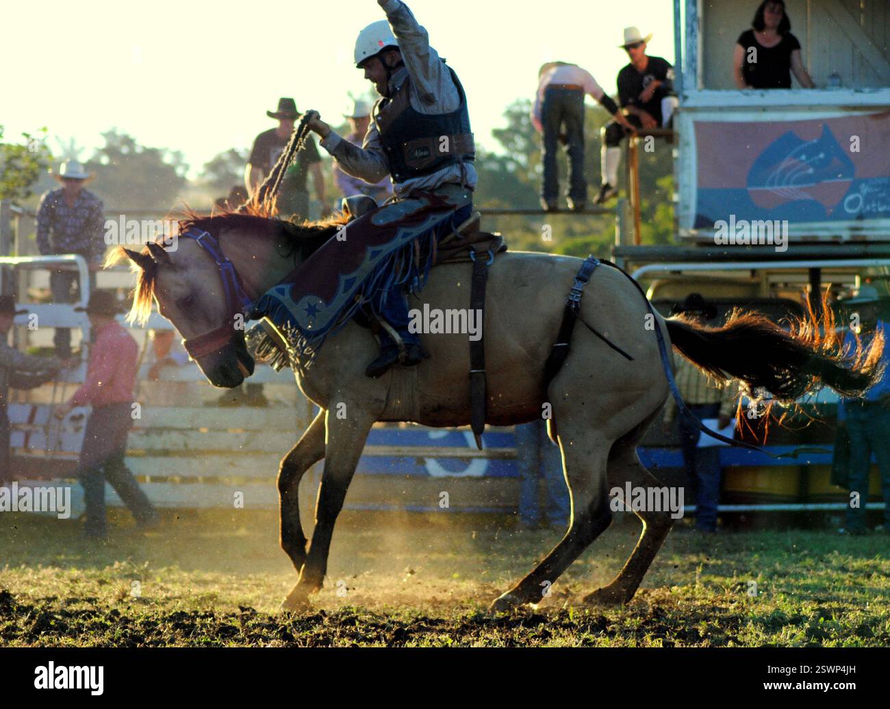 bucking bronco at a rodeo Stock Photo - Alamy