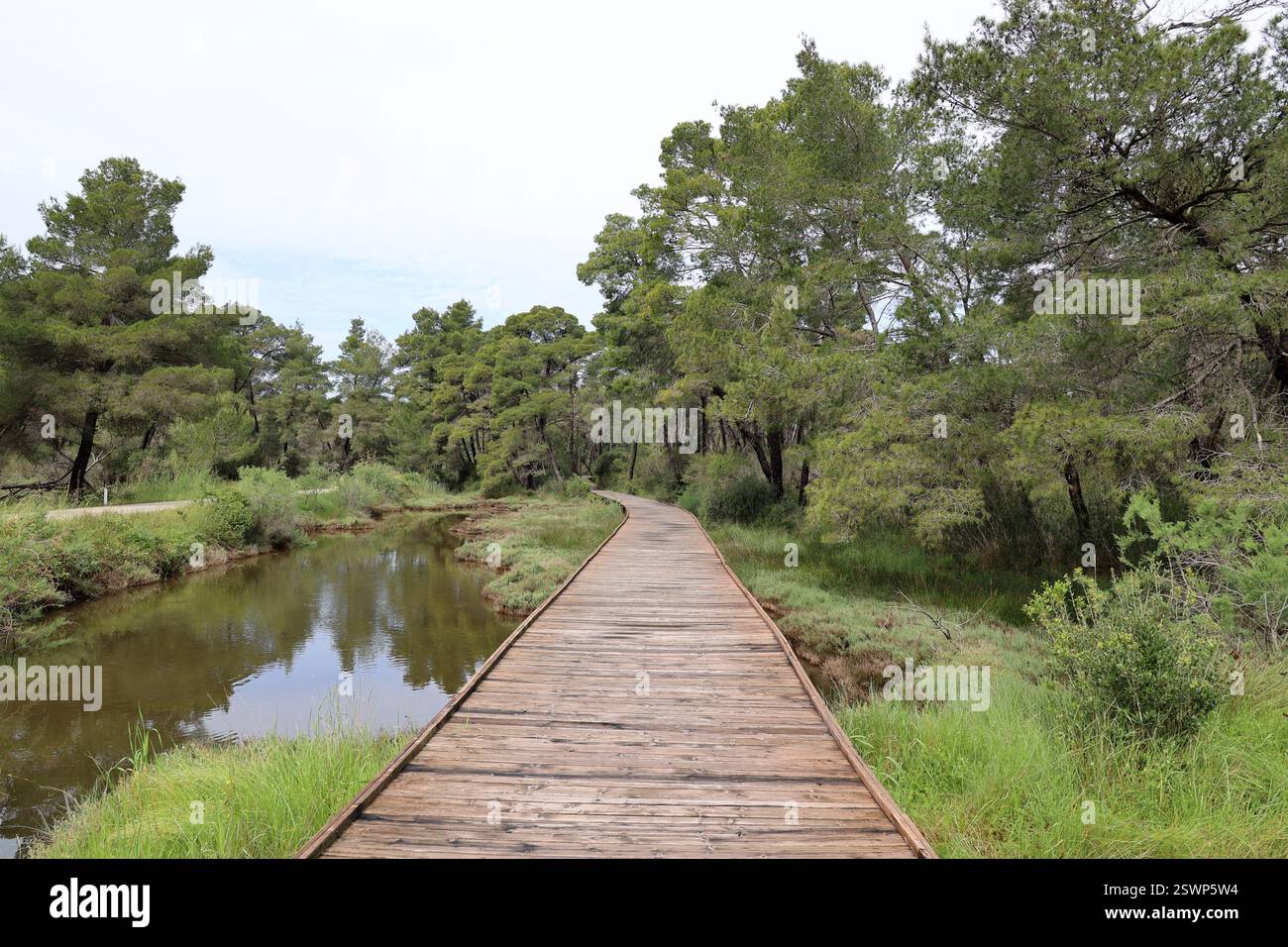 Landscape in Divjaka-Karavasta National Park, Albania Stock Photo - Alamy