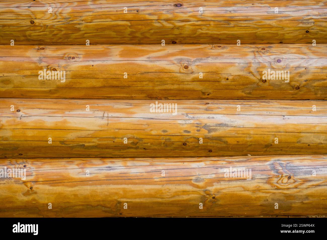 Log cabin wooden wall texture with natural wood grain and knots Stock ...