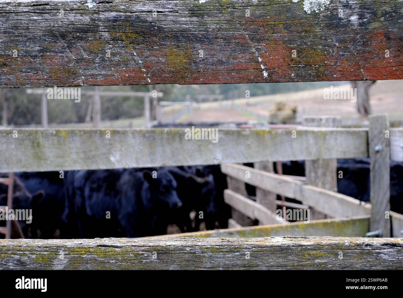 old timber farm fence Stock Photo - Alamy