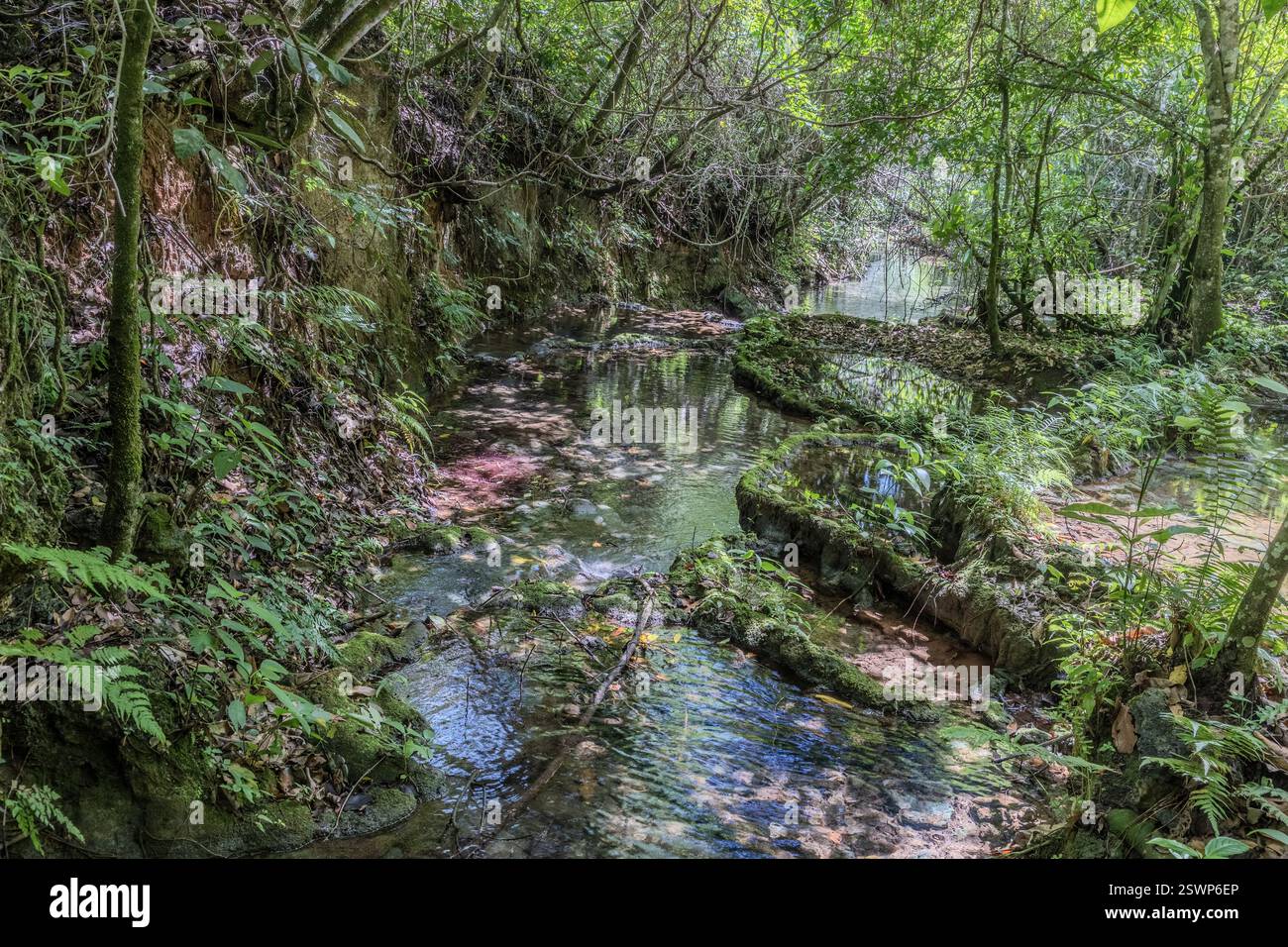 Stream, Boca da Onca waterfalls, Saloba river canyon, Mato Grosso do ...
