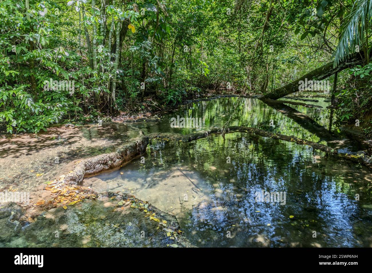 Stream, Boca da Onca waterfalls, Saloba river canyon, Mato Grosso do ...