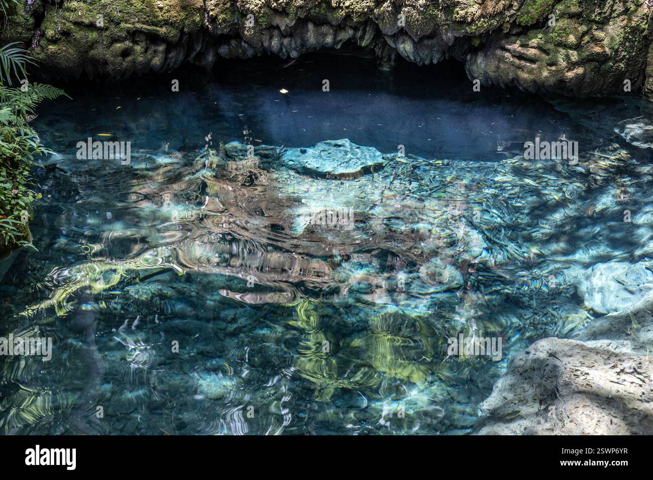 Pool, Boca da Onca waterfalls, Saloba river canyon, Mato Grosso do Sul ...