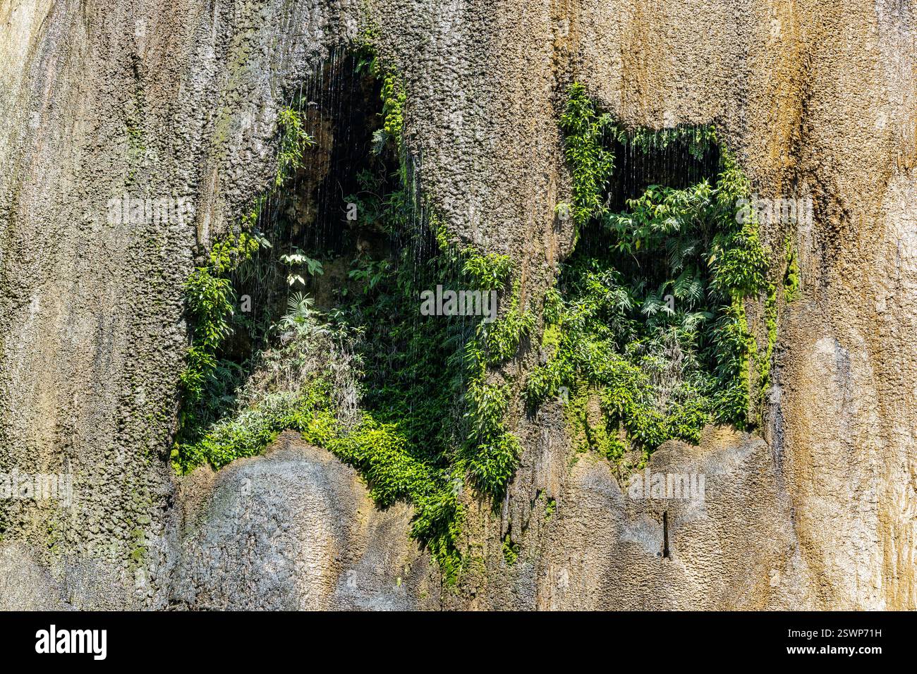 Boca da Onca waterfalls, Saloba river canyon, Mato Grosso do Sul ...