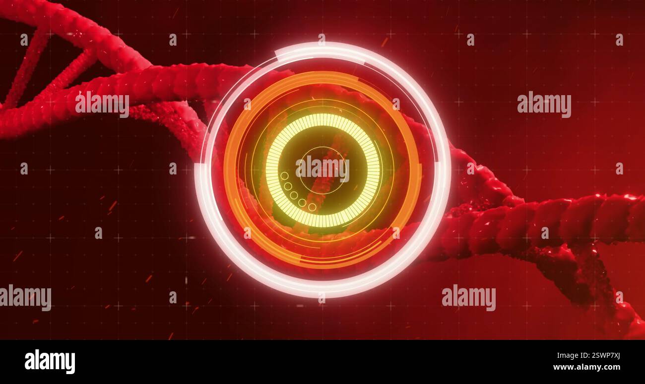 DNA strand and circular interface image over red background Stock Photo ...