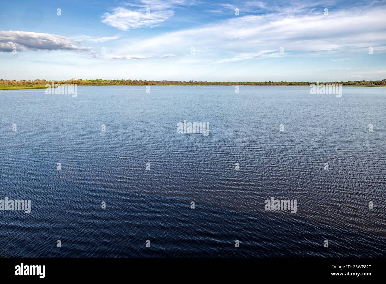 River, Pantanal, Miranda, Mato Grosso do Sul, Brazil Stock Photo - Alamy