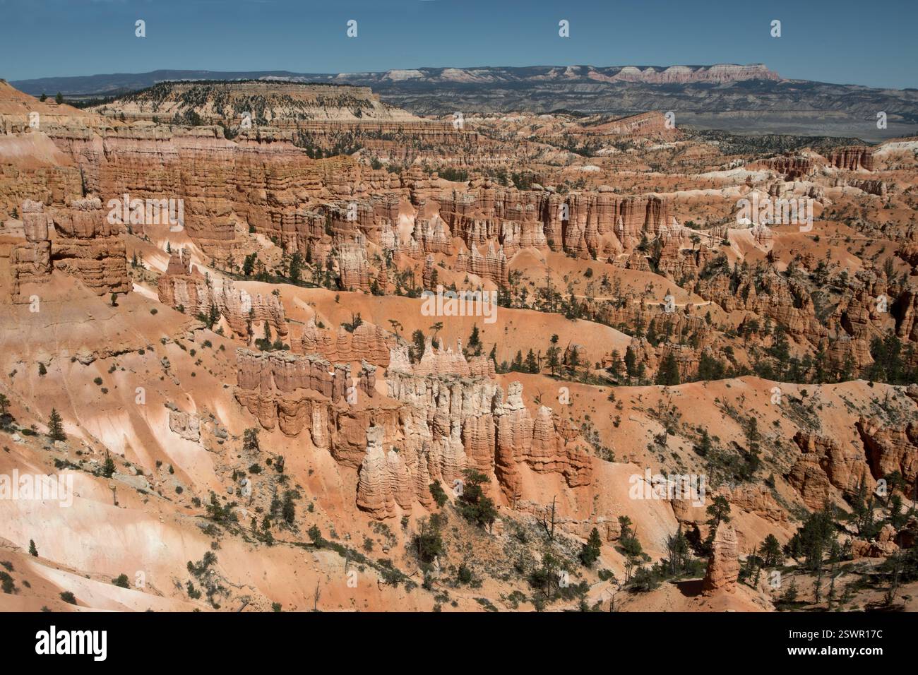 Hoodoos viewpoint hi-res stock photography and images - Alamy