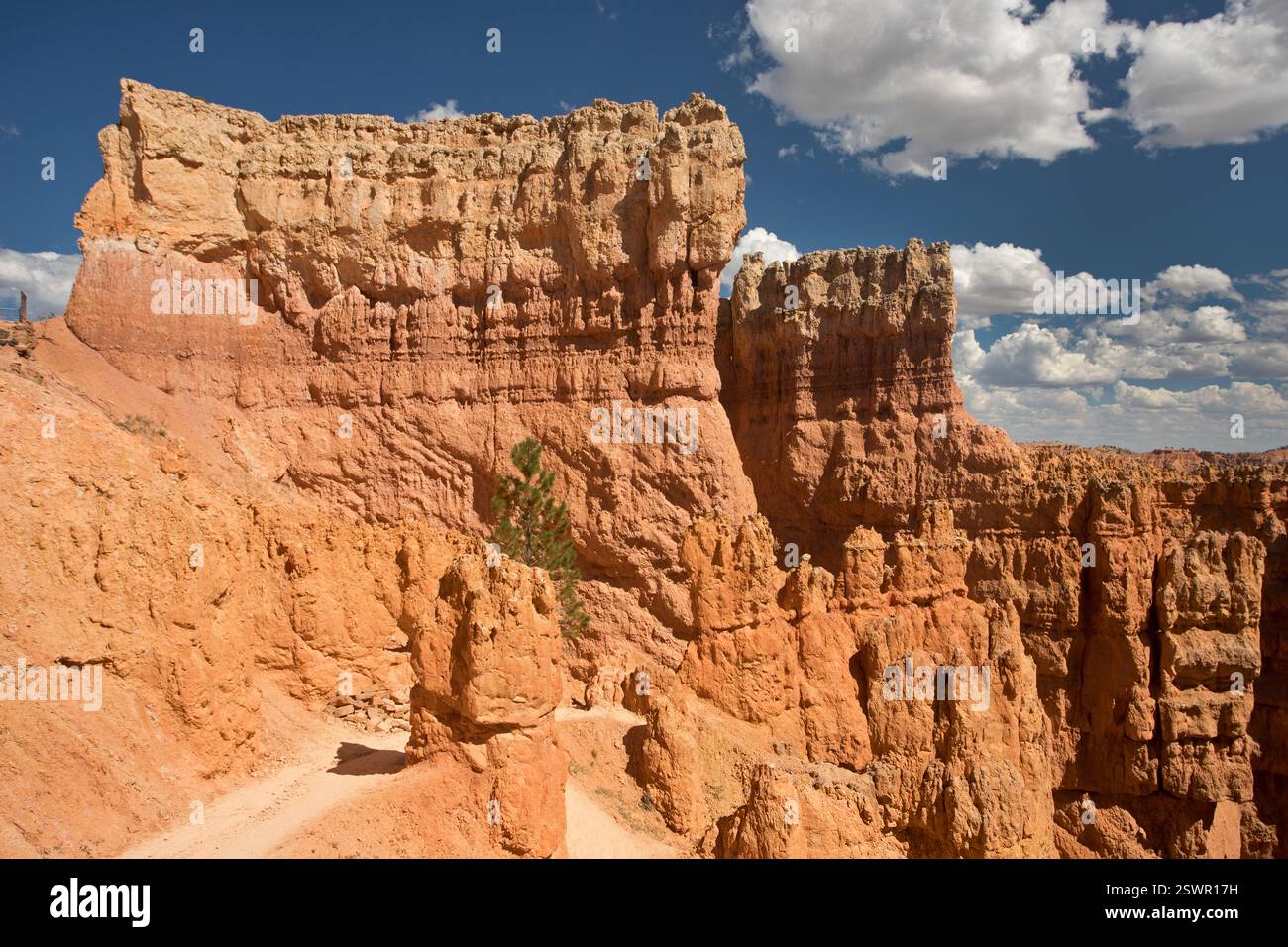 View from Navajo and Queens Garden Trails Stock Photo - Alamy