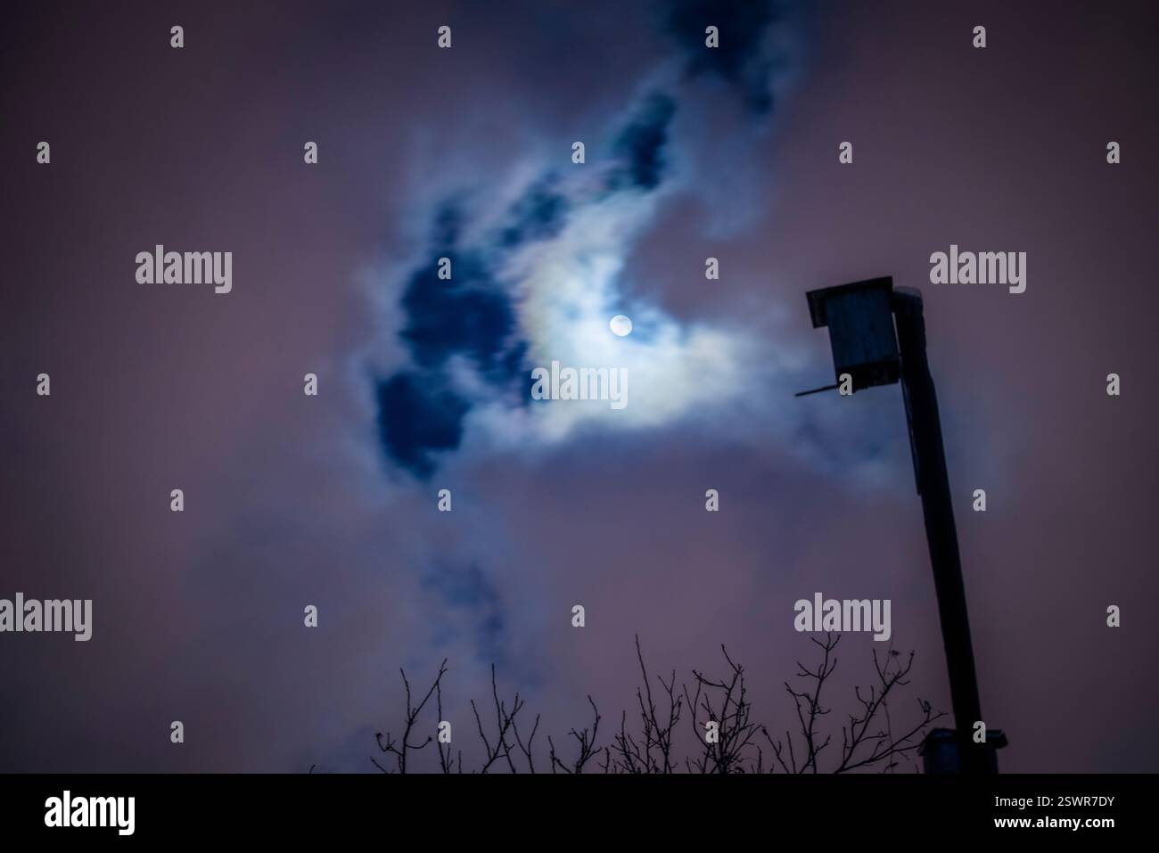 A view of a starling house in the moon night Stock Photo - Alamy