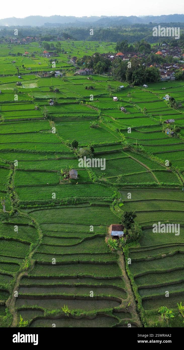 Aerial view stunning rice terraces hi-res stock photography and images ...