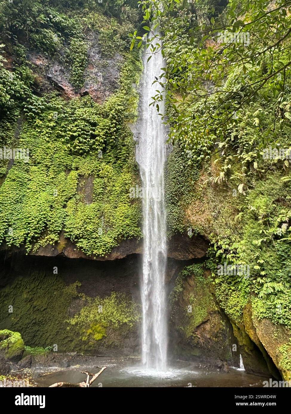 Hidden Waterfall Surrounded by Lush Greenery in Munduk, Bali Stock ...