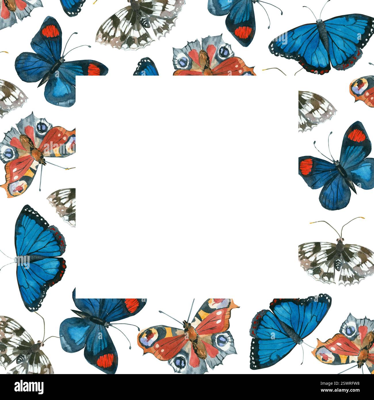 Butterflies, different types, blue, blue, Peacock eye, Morpho, all ...